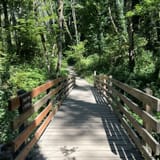 Tryon Creek Triple Bridge Loop, Oregon - 1,356 Reviews, Map | AllTrails