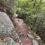 Kennedy Peak Loop, Virginia - 534 Reviews, Map | AllTrails