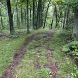 Kennedy Peak Loop, Virginia - 537 Reviews, Map | AllTrails