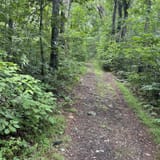 Kennedy Peak Loop, Virginia - 534 Reviews, Map | AllTrails