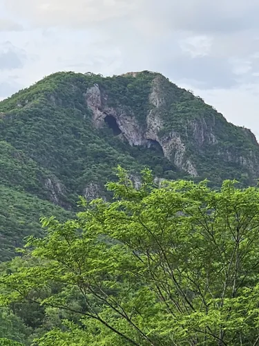 10 Best Forest Trails in Sinaloa | AllTrails