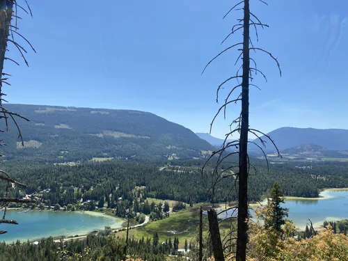 2023 Best Trails, Walks, and Paths in White Lake | AllTrails