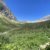Piegan Pass Trail, Montana - 317 Reviews, Map | AllTrails