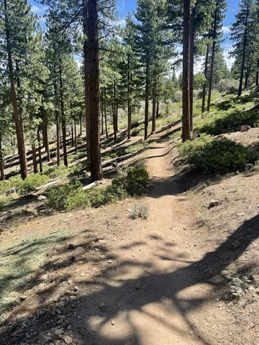 Best Hikes and Trails in Galena Creek Regional Park | AllTrails