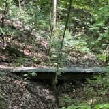 Martell Forest Loop, Indiana - 401 Reviews, Map | AllTrails