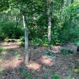 Tracy Ridge Hiking Trail System , Pennsylvania - 349 Reviews, Map ...