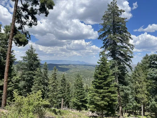 10 Best Trails and Hikes in Ruidoso | AllTrails