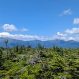 Carter Range Loop, New Hampshire - 209 Reviews, Map | AllTrails
