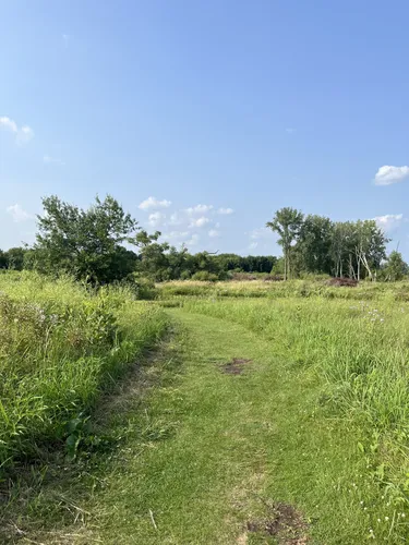 Best Hikes and Trails in Exner Marsh Conservation Area | AllTrails