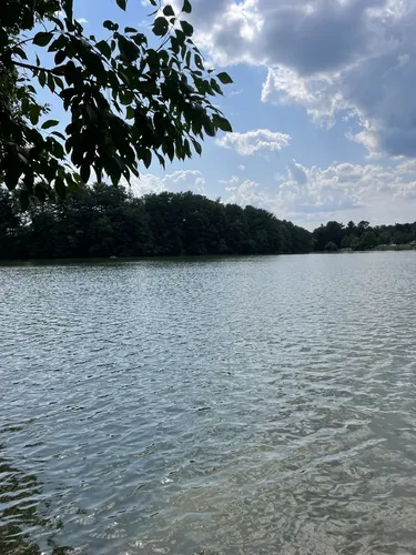 Best Hikes and Trails in Sweet Arrow Lake County Park | AllTrails