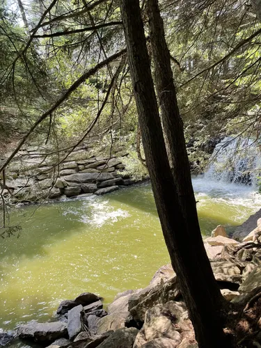 Best Hikes and Trails in Sweet Arrow Lake County Park | AllTrails