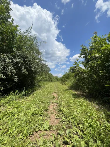 2023 Best Historic Site Trails in Catharpin | AllTrails