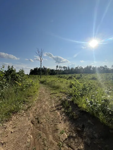 2023 Best Historic Site Trails in Catharpin | AllTrails
