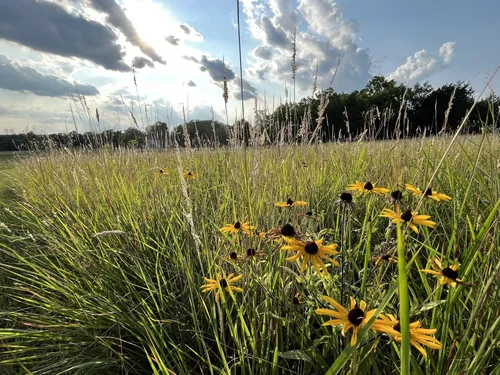 2023 Best Historic Site Trails in Catharpin | AllTrails