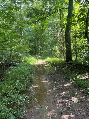 2023 Best Historic Site Trails in Catharpin | AllTrails