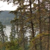 Devon River Valley Trail, Alberta, Canada - 304 Reviews, Map | AllTrails