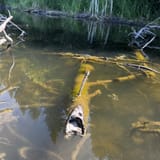 Spring Valley Reservoir Loop , Idaho - 81 Reviews, Map | AllTrails