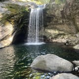 Racehorse Falls Trail, Washington - 411 Reviews, Map | AllTrails