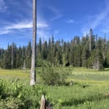 Tamarack Creek Trail, California - 22 Reviews, Map | AllTrails
