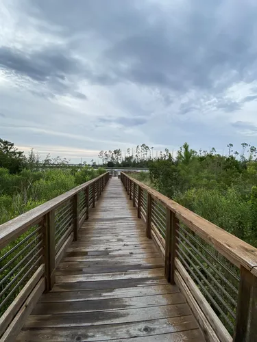 Best Hikes and Trails in Lynn Haven Bayou Preserve and Park | AllTrails