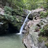 Cedar Run Falls Trail, Virginia - 656 Reviews, Map | AllTrails