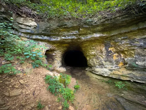 2023 Best Lake Trails in Heltonville | AllTrails