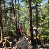 Mount Lafayette, North Lincoln, and Little Haystack Loop, New Hampshire ...