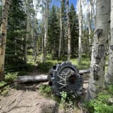 Bunce School Road, Ironclads, and Plane Crash OHV Trails, Colorado ...