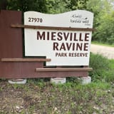 Miesville Trail, Minnesota - 169 Reviews, Map | AllTrails