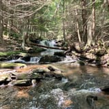Rusty Run Falls, Pennsylvania - 52 Reviews, Map | AllTrails