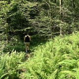 Rusty Run Falls, Pennsylvania - 52 Reviews, Map | AllTrails