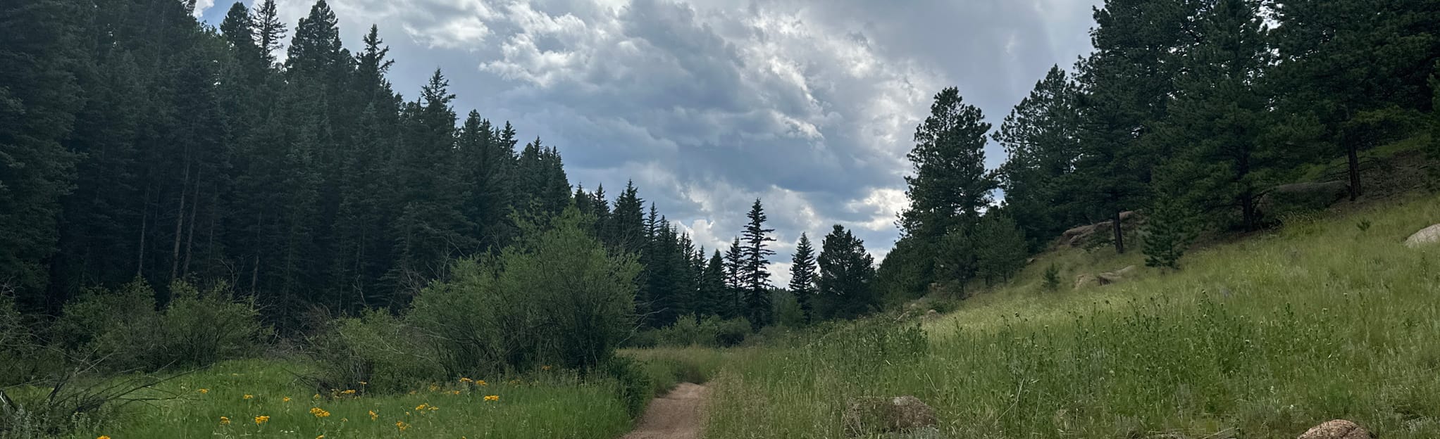 North Divide Trail 717A and 717F: 95 foto's - Colorado | Wandelen ...