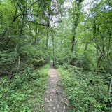 Raven Run Red Trail, Kentucky - 1,392 Reviews, Map | AllTrails