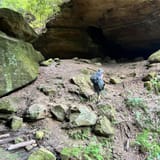 Red Byrd Arch, Kentucky - 265 Reviews, Map | AllTrails