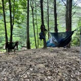 Red Byrd Arch, Kentucky - 265 Reviews, Map | AllTrails