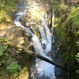 Sunrise View Point via High Ridge Nature Trail, Washington - 749 ...