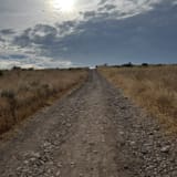 Grasslands Loop Trail, California - 1,408 Reviews, Map | AllTrails