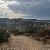 Grasslands Loop Trail, California - 1,408 Reviews, Map | AllTrails