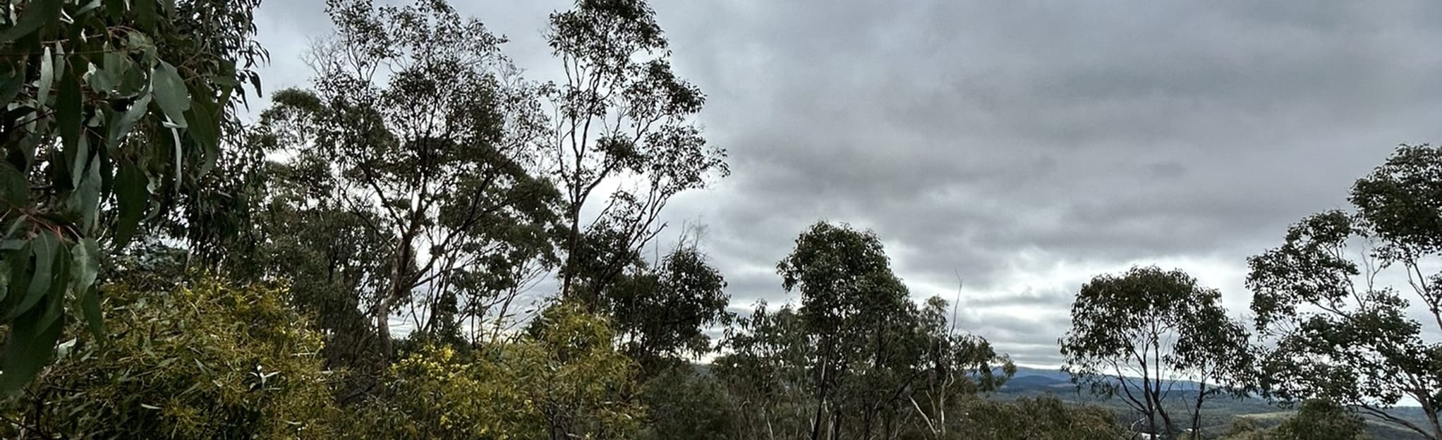 Poverty Gully Reservoir via Dry Diggings Track: 51 Zdjęcia – Wiktoria ...