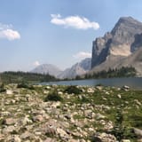 Gorman Lake Trail, British Columbia, Canada - 185 Reviews, Map | AllTrails