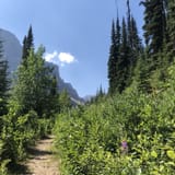 Gorman Lake Trail, British Columbia, Canada - 185 Reviews, Map | AllTrails
