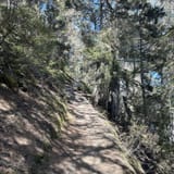 Abbott Ridge Trail, British Columbia, Canada - 545 Reviews, Map | AllTrails