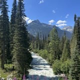 Abbott Ridge Trail, British Columbia, Canada - 545 Reviews, Map | AllTrails