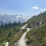Abbott Ridge Trail, British Columbia, Canada - 545 Reviews, Map | AllTrails