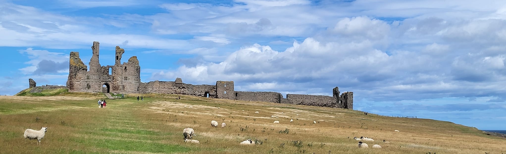 Dunstan Steads, Craster and Low Newton-by-the-Sea: 356 fotos ...