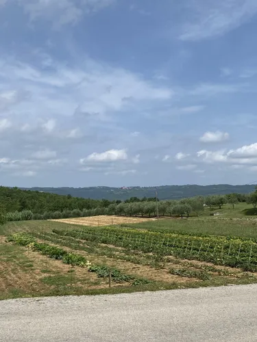 10 Best Trails and Hikes in Vižinada - Visinada | AllTrails