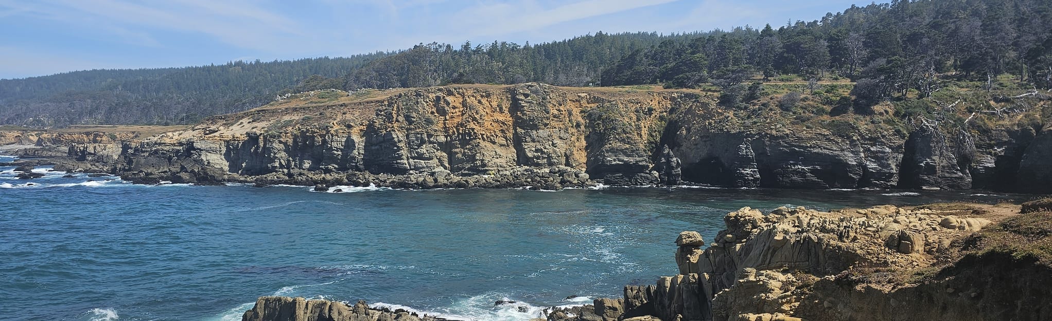 Salt Point and North Trail Loop, California - 327 Reviews, Map | AllTrails