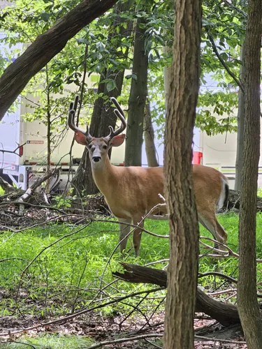 Best Hikes and Trails in Closter Nature Center | AllTrails