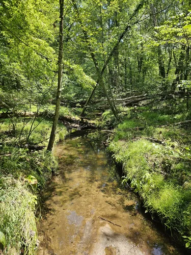 Best Hikes and Trails in Closter Nature Center | AllTrails