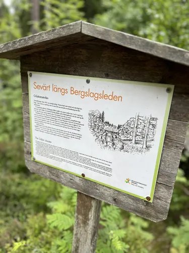 2023 Best Long Trails in Ånnaboda Nature Reserve | AllTrails